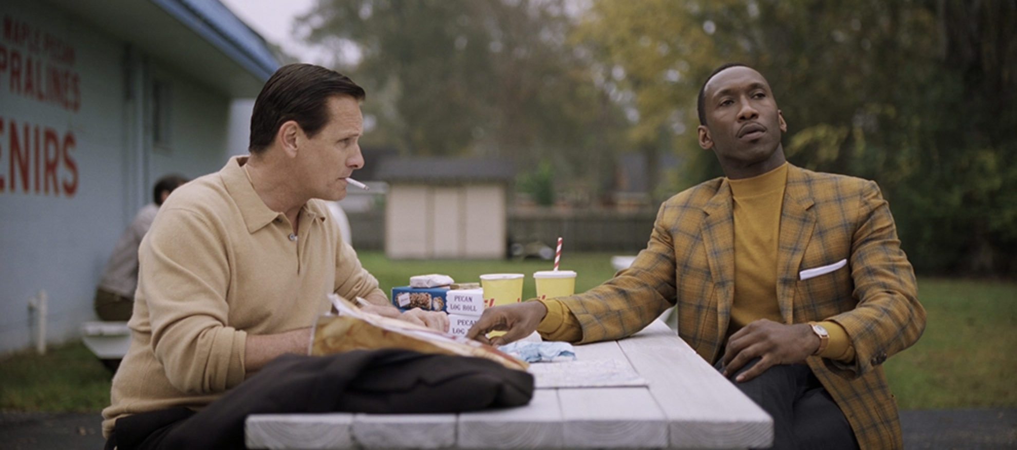 Green Book - Um Guia Para a Vida | Take Cinema Magazine